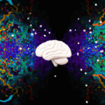 The Role of Neurotransmitters in ADHD: Dopamine and Beyond | Blu Brain